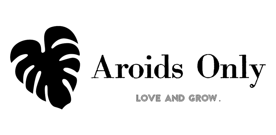 Aroids Only - Rare Plants in Canada